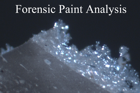 Fingerprint Identification | Forensic Assurance