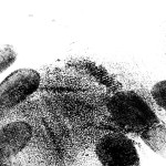 Fingerprint Identification | Forensic Assurance