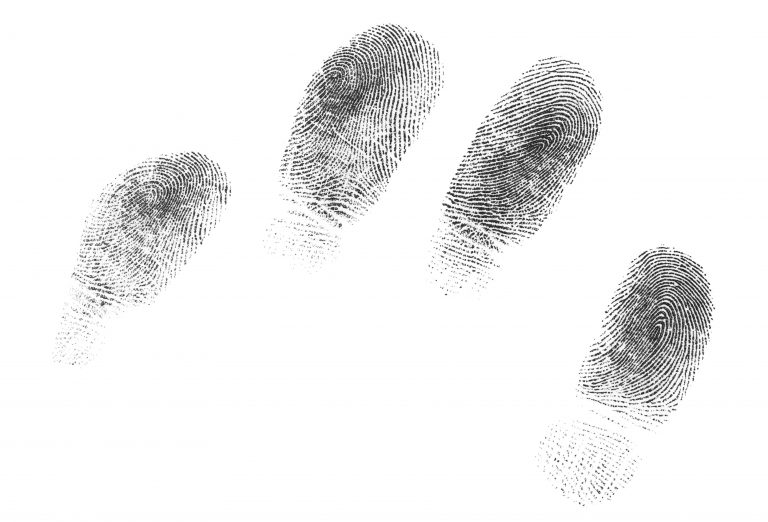 Fingerprint Identification (Digital Only) - Forensic Assurance
